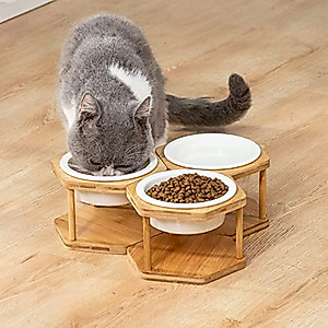 Lusifaco Set of 3 Single Elevated Cat Bowls, Stainless Steel Raised Cat Food Water Bowl with Bamboo Stand, Pet Dishes Stand Feeder with Anti Slip Feet for Cats and Small Dogs, 13 oz(Stainless Steel)