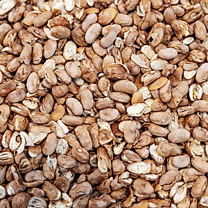 Chef's Banquet Emergency Food Supply Basics 7 Essentials (oats, rice, corn, multi-grain cereal, beans, pasta, wheat) House and Home survival food kit, Shelf Life: 25 year to 30 year