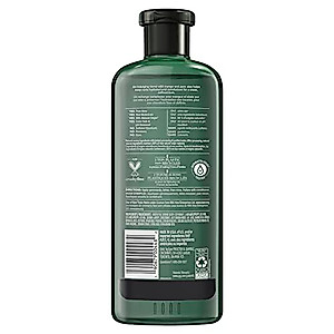 Herbal Essences Bio: Renew Mango + Potent Aloe Sulfate Free Shampoo for Curly Hair 13.5 Fl oz
