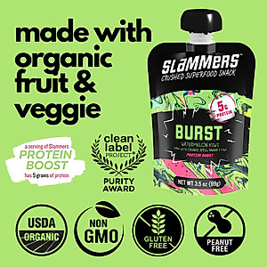 Slammers Organic Superfood Fruit & Veggie Snack Squeeze Pouch - Protein Pack - 3.5 Ounce (Pack of 16)