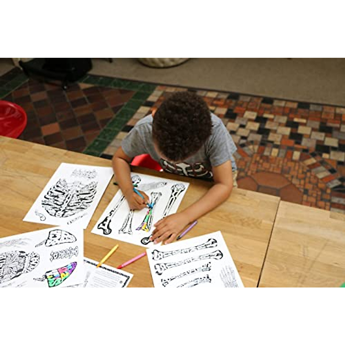 Know Yourself - Human Anatomy for Kids Super Bundle, Kids Anatomy Book, Human Body Book for Kids, Human Body for Kids Activity Books, Skeleton Coloring Kit, Bones of The Body Playing Cards, Backpack