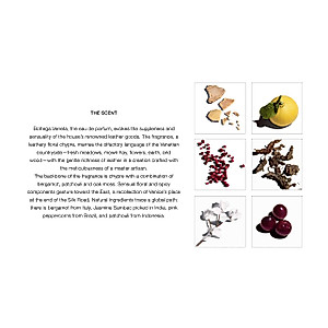 Bottega Veneta Bottega Veneta Eau De Parfum Spray, 1.7 Ounce