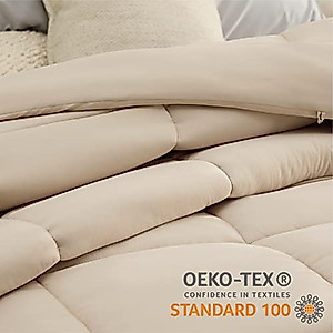 Bedsure Duvet Insert Queen Comforter Beige - All Season Quilted Down Alternative Comforter for Queen Bed, 300GSM Mashine Washable Microfiber Bedding Comforter with Corner Tabs