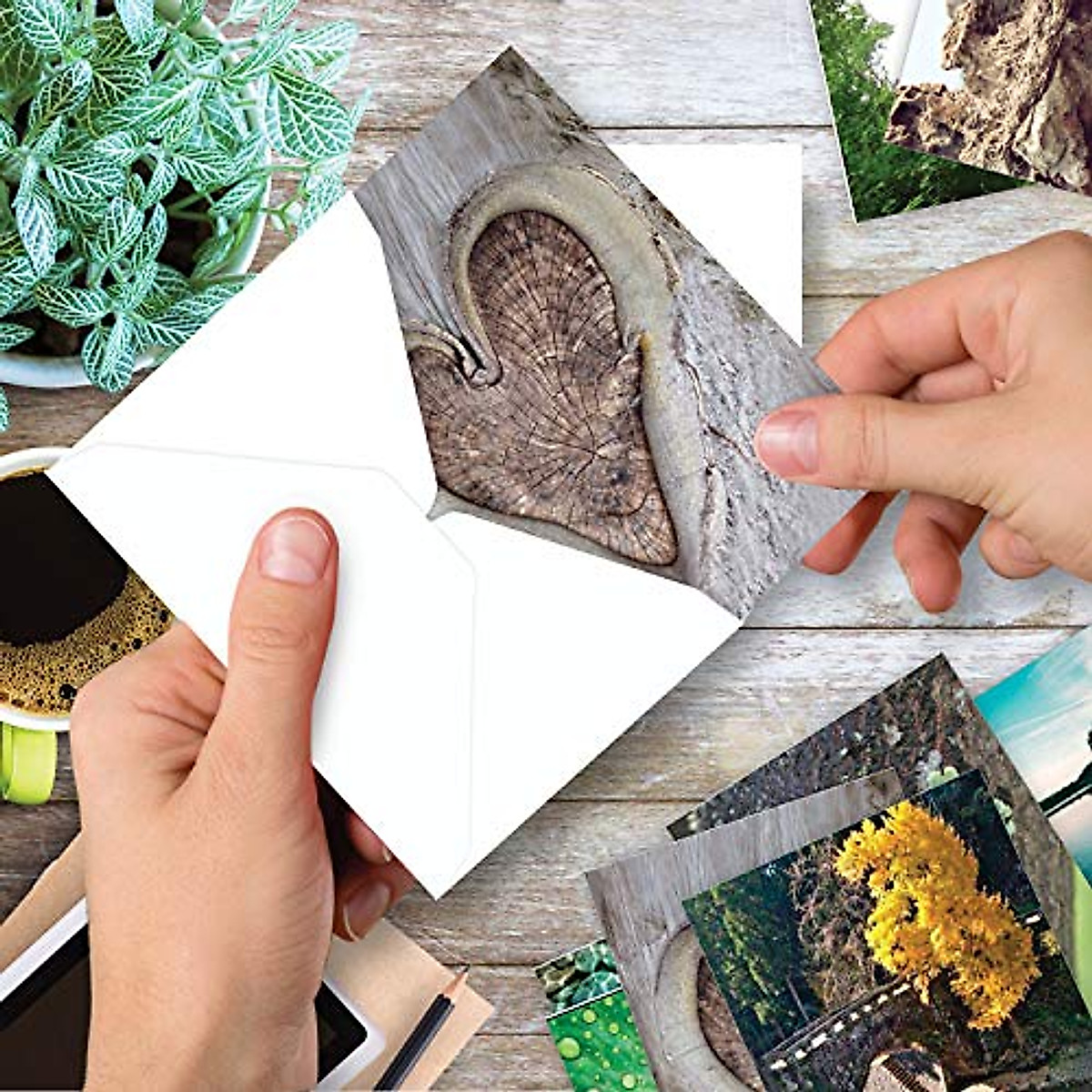 The Best Card Company - 10 Blank Heart Note Cards Boxed (4 x 5.12 Inch) - All Occasion Heartfelt Love Card Assortment - Heartscapes AM6838OCB-B1x10