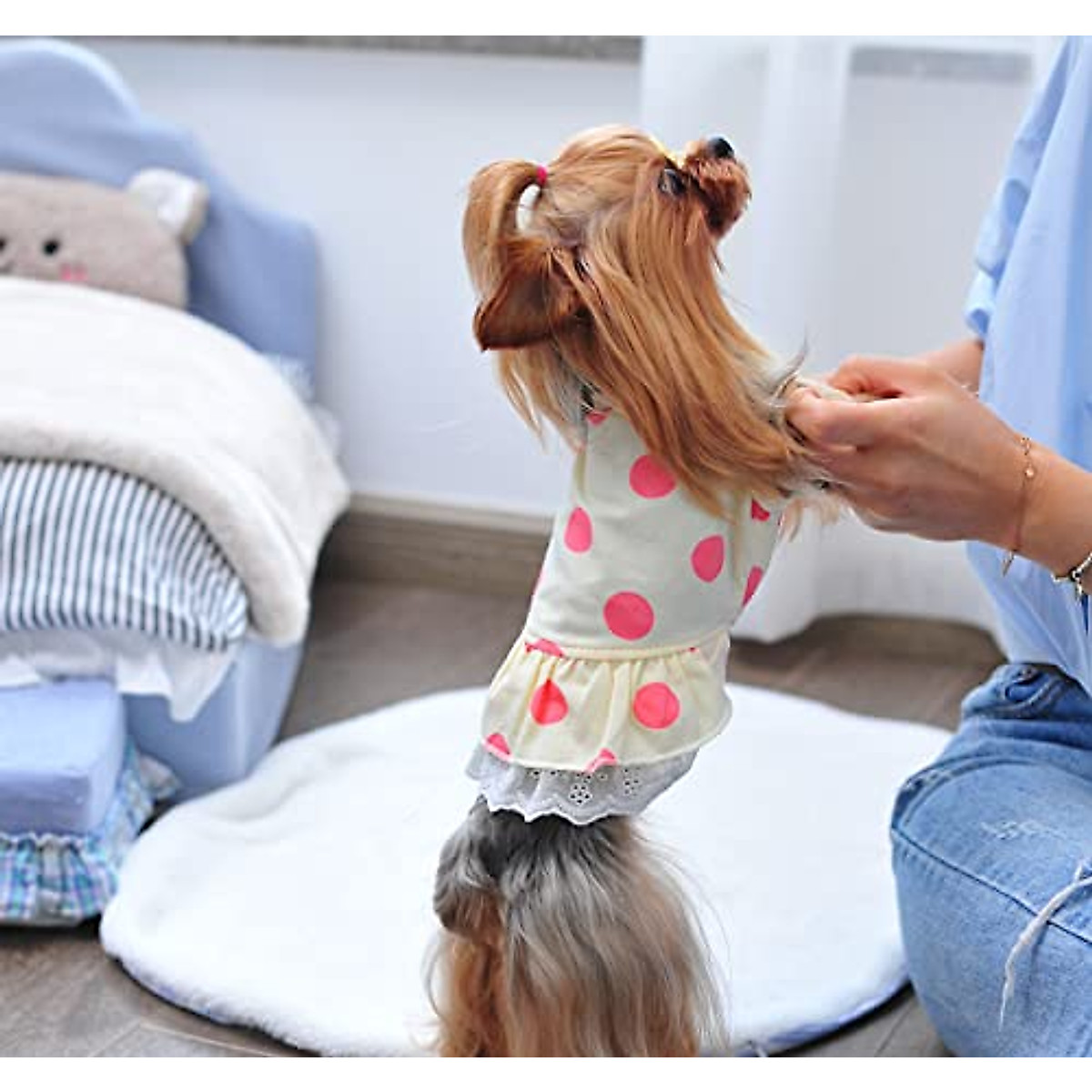 MSNFOASM 2Pcs-Pet Dog Elastic Soft Dress,Cute Polka Dots Lace Skirt for Small Dogs Cats（White&Pink S）