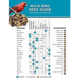 Audubon Park 12261 Black Oil Sunflower Seed Wild Bird Food, 10-Pounds