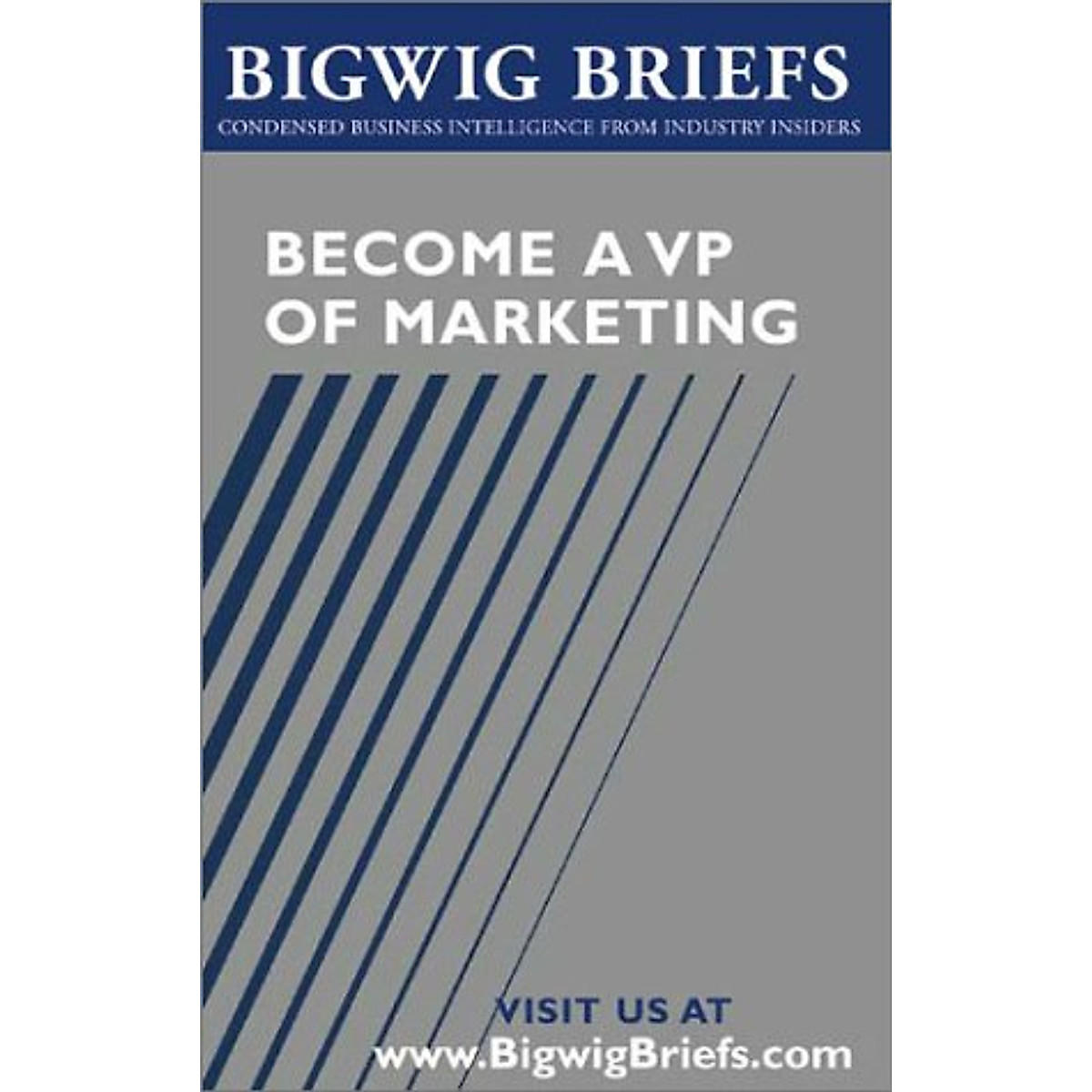 Bigwig Briefs: Become a VP of Marketing - Leading Marketing VPs Reveal What it Takes to Get There, Stay There, and Empower Others That Work With You