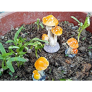 6 Pcs Mini Mushroom Miniature Figurines Resin Figurines Fairy Garden Miniature Moss Landscape DIY Terrarium Crafts Ornament Accessories for Home Décor