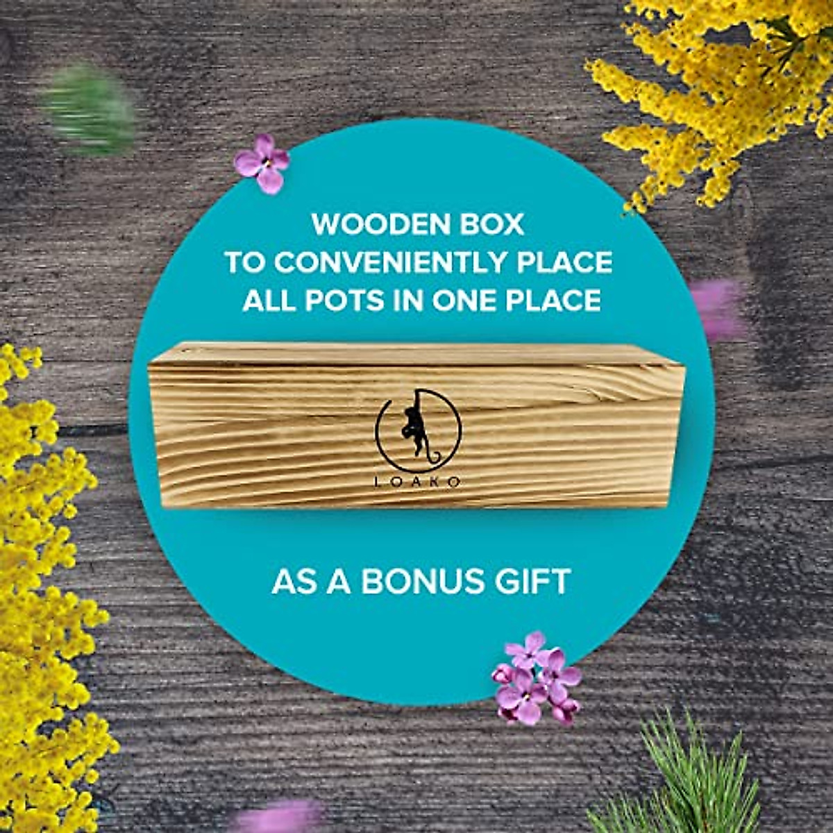 Bonsai Tree Seed Starter Kit - Complete Growing Kit - Grow 4 Bonsai Tree Live Indoor Plant from Seed - Adult Crafts - Grow Your Own Live Plant - Great DIY Kits for Adults - Crafts for Adults