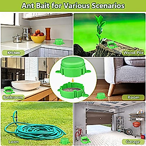 Ant Traps Bait Indoor,Ant Traps Killer Indoor Outdoor,Effective Liquid Ant Bait Killer,Ready-to-Use Ant Bait Traps Indoor,Kills Common Household Ants,Ants Killer for House,Kitchen,Garage,Garden