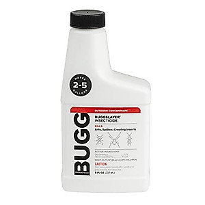 BUGGSLAYER Crawling Insect Insecticide Concentrate 8-oz. Outdoor Killer for Ants, Spiders, Mosquitoes, Ticks and Fleas.