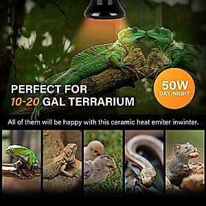Simple Deluxe 50W 1-Pack Mini Ceramic Heat Emitter Reptile Heat Lamp Bulb No Light Emitting Brooder Coop Heater for Amphibian Pet & Incubating Chicken, Black