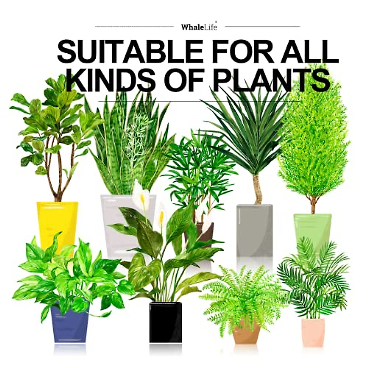 Watering Can for Indoor and Outdoor Plants 1/2 Gallon Plastic, Long Spout with Detachable Shower Spray Head, Water Can for Plants, Garden, Flower, Office(2.0L Blue) by WhaleLife