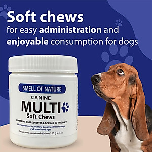 Smell of Nature Multi Dog Supplement Chews with Probiotics, Mushroom Extract & Turmeric - Soft Chewable Supplement for Overall Health & Wellness - Made with Superfoods - 60 Chews