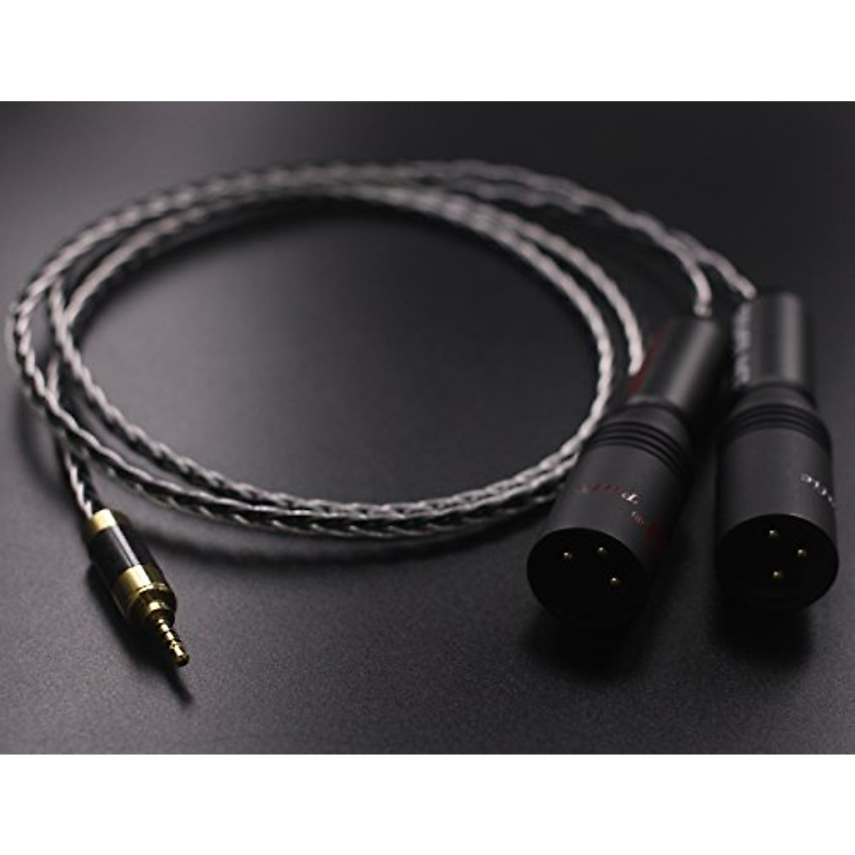 P2.5-M2 HiFi Hi End 2.5mm TRRS Balanced Male to 2 XLR Male Cable, for Astell&Kern AK100II, AK120II, AK240, AK380, AK320, DP-X1A, FIIO X5III, XDP-300R, iBasso DX200, KANN etc. (3.2ft (1M))