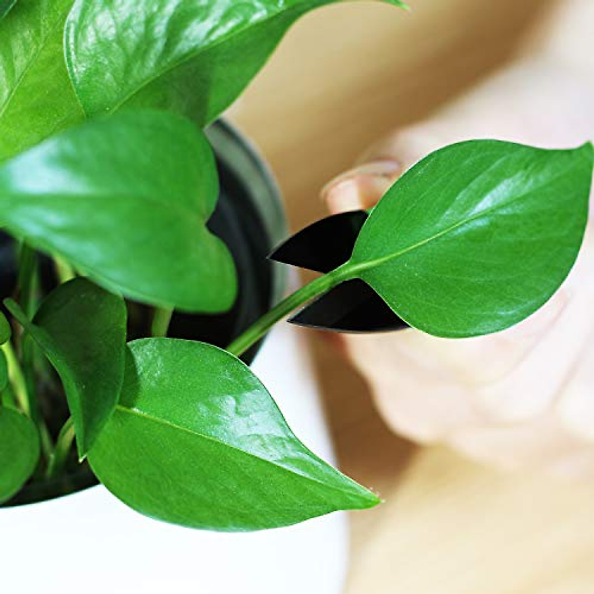 Anley 4" Sewing Scissors Set - Carbon Steel Trimming Nipper Yarn Lightweight Thread Cutter - Portable Mini Embroidery Clipper Stitching Snip for DIY, Household Supplies (12Pcs, Multicolor)