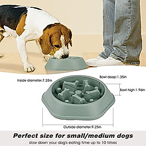 DPOEGTS Slow Feeder Dog Bowl, Puzzle Dog Food Bowl Anti-Gulping Interactive Dog Bowl and Water Dog Bowl for Small/Medium Sized Dogs (Green, Bone)