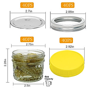 Flrolove Mason Jars 4 OZ,40 Pack Canning Jars With Regular Lids,Mini Mason Jars Ideal for Jam,Jelly,Honey,DIY Projects,Wedding/Shower Favors