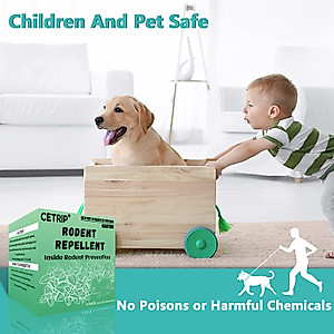 suphanlin CETRIP Peppermint Oil to Repel Mice and Rats,Mouse Repellent,8 Pack Rodent RepellentRat Repellent Outdoor/Indoor,Mouse Deterrent Indoor, Rodent Deterrent