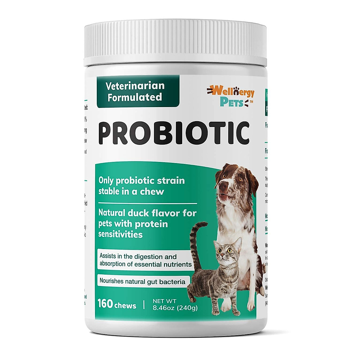 Wellnergy Daily Probiotic & Prebiotics Soft Chew for Dogs & Cats - Digestive Support for Diarrhea, Constipation, Upset Stomach, Indigestion & Gas - Helps Digestion, Allergy Skin & Immune Health 160ct