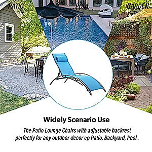 Diophros Pool Lounge Chairs Set of 2, Adjustable Reclining Folding Patio Chaise Lounger Chair with for Poolside, Beach, Backyard