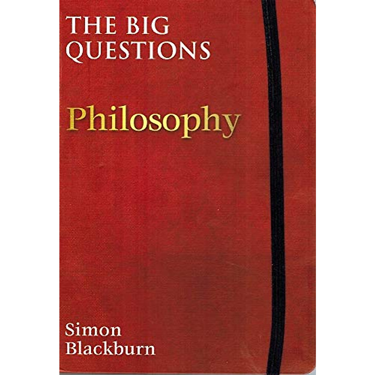 Philosophy (Big Questions Series)