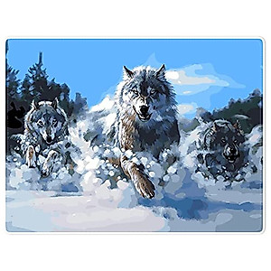 SXCHEN 60"x80" Blankets Plush Sofa Bed Throw Wolves Artistic Snowy Forest