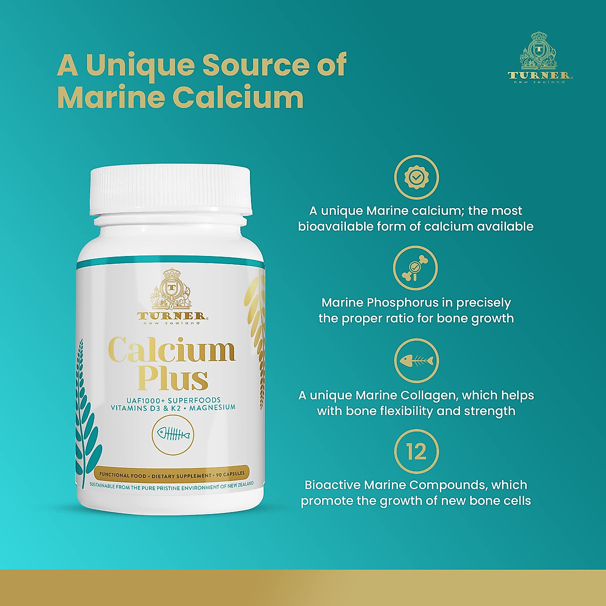 TURNER Calcium Plus, All-Natural Marine Calcium Supplement, with UAF1000+ Super Antioxidant, Magnesium + Vitamins K2 & D3, Supports Bone Density & Joint Health, 2 Bottles, 180 caps, 2 Month Supply