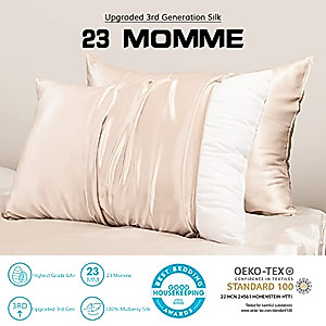 PROMEED 23 Momme Silk Toddler Pillowcase 13x18, Both Sides Highest Grade 6A+ Mulberry Silk Pillow Case Travel Size with Free Laundry Bag (Toddler/Travel-13 x18, Champagne)