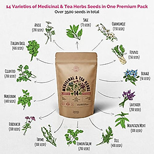 14 Medicinal & Tea Herb Seeds Variety Pack for Planting Indoor & Outdoors. 3500+ Non-GMO Heirloom Herbal Garden Seeds: Anise, Borage, Cilantro, Chamomile, Echinacea, Rosemary, Lavender Seeds & More