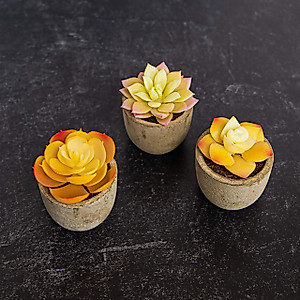 3 Piece Yellow Decor Artificial Succulent Plants in Grey Pots Realistic Greenery Mini Potted Faux Plant Arrangements for Home Decor Office Room Dorm Bathroom Restroom Kitchen Table Centerpieces
