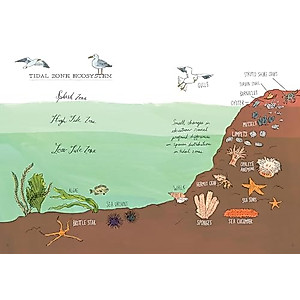 Ocean Anatomy: The Curious Parts & Pieces of the World under the Sea