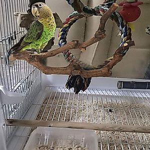 kathson Natural Parrot Perch Bird Stand Pole Wild Grape Stick Paw Grinding Fork Parakeet Climbing Standing Branches Toy Chewable Cage Accessories for Small Budgies Cockatiels Lovebirds 3PCS