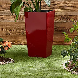 Lechuza Cubico Premium 30 - All-In-One, Scarlet