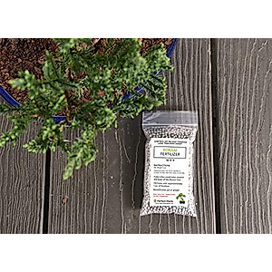 Bonsai Fertilizer Pellets by Perfect Plants - 5 Year Supply - All Natural Slow Release - Extended Enrichment for All Live Bonsai Tree Types