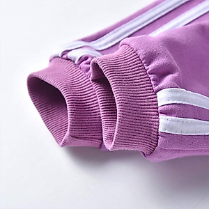 Toddler Boys Girls Clothes Hoodies Zipper Sweatshirt+Trouser Casual 2Pcs Outfits Set(Purple, 110/4T)