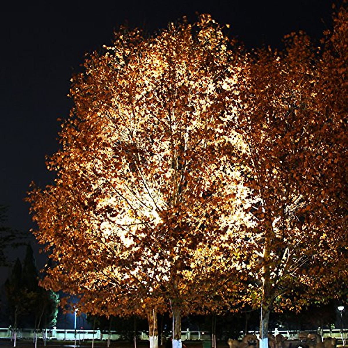 TOPELE 1100LM LED Flood Light, LED Outdoor Security Light, Exterior Flood Lights Fixture with CREE LED Source for Landscape Light, Commercial, Home, Garden, Yard, Waterproof, Brown, 5000K