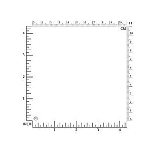 Silvershake 4mm Petite Natural Round Shape Moonstone White Gold Plated 925 Sterling Silver Stud Earrings