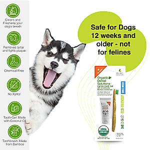 Pure and Natural Pet Organic Dental Solutions USDA Certified Organic Small Kit (.8 oz Canine Tooth Gel with Eco-Friendly Bamboo Toothbrush).