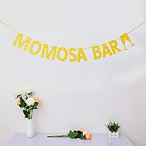 Momosa Bar Bunting Banner, Baby Shower Sign, Bridal Shower, Bachelorette, Wedding, Mimosa Bar Party Decorations, Gold Glitter