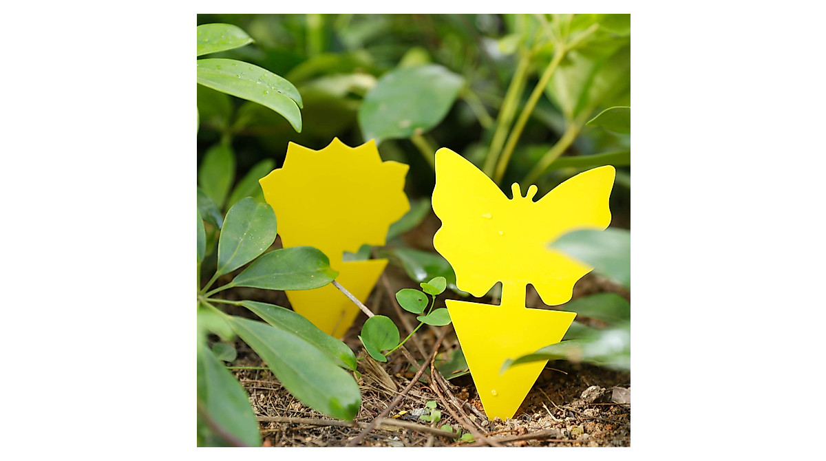 Garsum Sticky Traps for Effective Pest Control