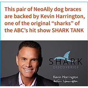 NeoAlly Cat and Dog Ankle Brace Pair Canine Rear Leg Hock Support with Safety Reflective Straps for Hind Leg Wounds Heal and Injuries and Sprains from Arthritis (S Pair)