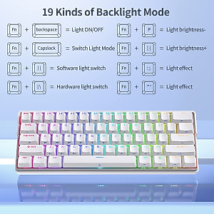 KEMOVE Snowfox DK61 60% Wireless Mechanical Gaming Keyboard, 2.4G/Type-C/Bluetooth, Hot Swappable RGB Backlit 61 Keys, Anti Ghosting/N-Key Rollover 3000mAH Battery, Brown Switch/White