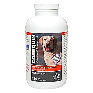Nutramax Cosequin Maximum Strength Joint Health Supplement for Dogs - With Glucosamine, Chondroitin, MSM, and Hyaluronic Acid, 250 Chewable Tablets
