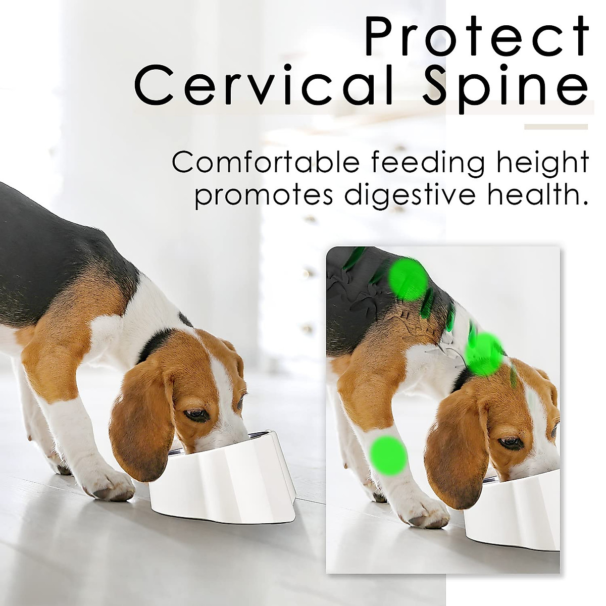 CheerPaws Large Tilted Dog Food Bowl, 15°Slanted Dog Bowl for French Bulldogs No Spill Slanted Dogs Bowl Elevated 1.5 Cup Dog Bowls for Flat Faced Dogs Raised Dog Water Food Bowl Angled Tilted White