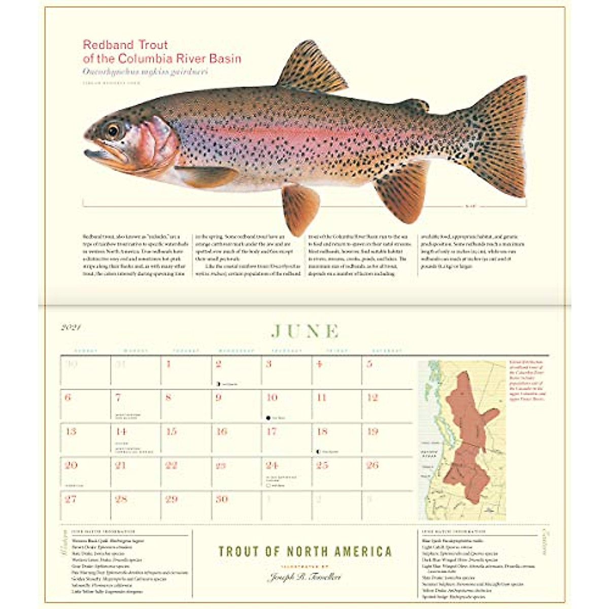 Trout of North America Wall Calendar 2021