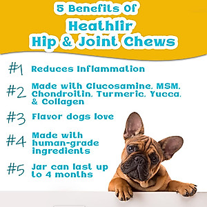 Pampered Chicken Mama Glucosamine for Dogs Chews (120 Count) Heathlir - Soft Dog Joint Supplement with Chondroitin, MSM, Turmeric, & Collagen Joint Support for Dogs