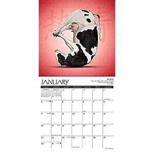 Cow Yoga 2022 Wall Calendar