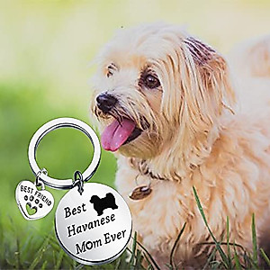Lywjyb Birdgot Best Havanese Mom Ever Keychain Dog Lover Best Friend Havanese Gift (Best Havanese KY)