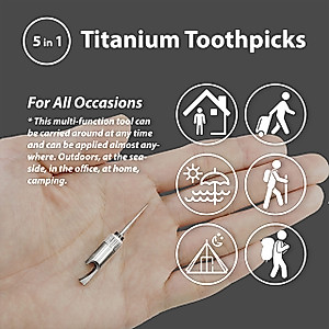 Titanium Toothpick with Holder, 100% Titanium Alloy Keychain Toothpick,Titanium EDC toothpick Tools 5-in-1, Bottle Opener, Box Opener, Mini Cutter, Car Window Breaker, Titanium Gifts for Men and Women